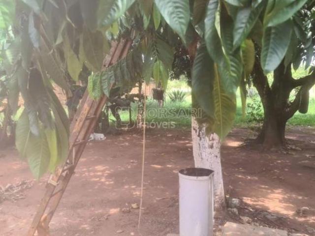 Rural Chácara em Araraquara