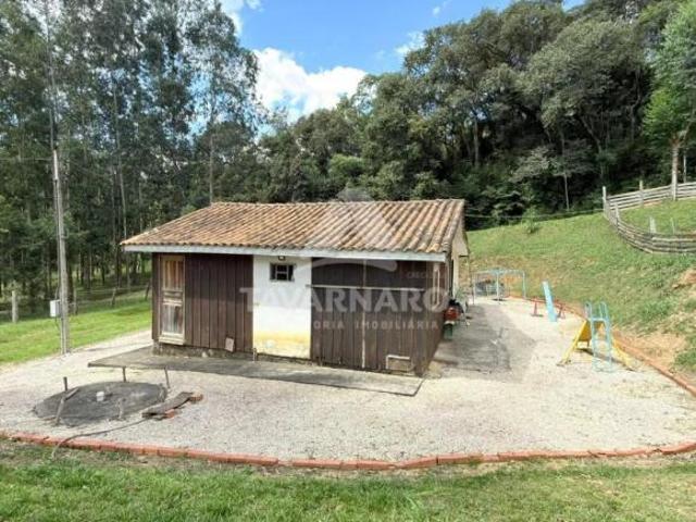 Rural Chácara em Ponta Grossa