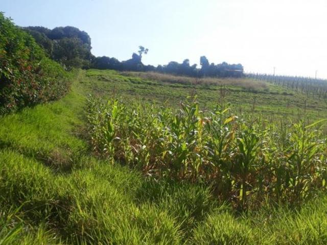 Rural Chácara Venda Traviú Cod. 7518