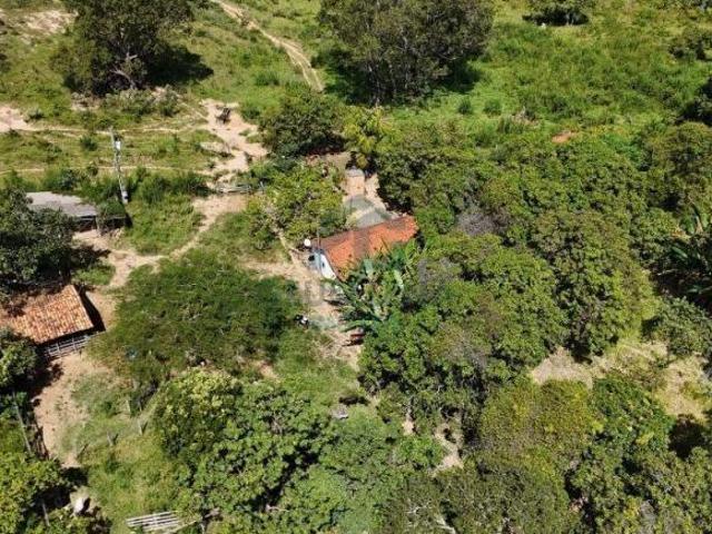Rural Fazenda em Dores do Indaiá