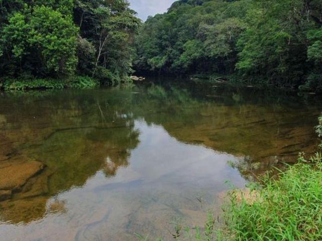 Chacara, Guarau, Jacupiranga, SP