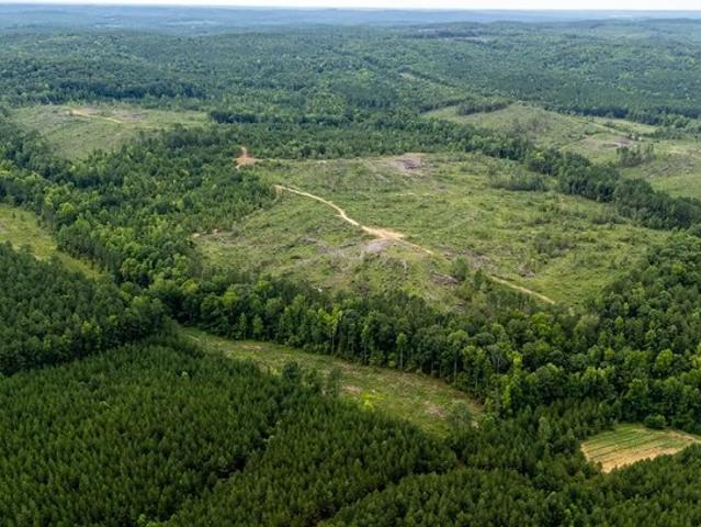 Rural Mt, Ellerbe, NC 28338