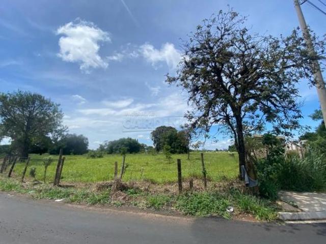 Rural Padrão em São Carlos