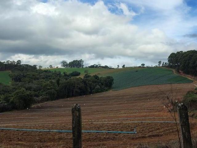 Rural para Venda em Munhoz/MG 1 Dorm. 60 ha Área Útil