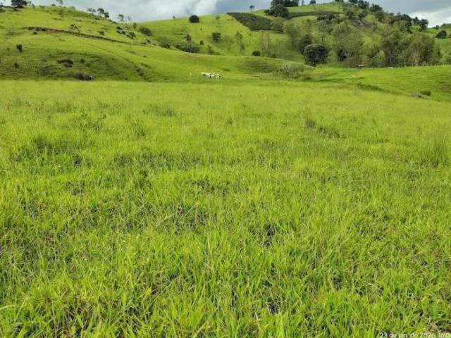 Rural para Venda em Munhoz/MG 1 Dorm. 145200 m2 Área Útil
