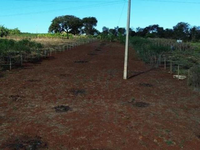 Rural para Venda em Uberlândia/MG 1 Dorm. 0 m2 Área Útil