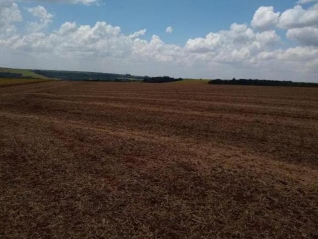 RURAL PARANÁ 115 ALQUEIRES
