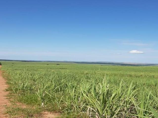 RURAL PARANÁ 135 ALQUEIRES