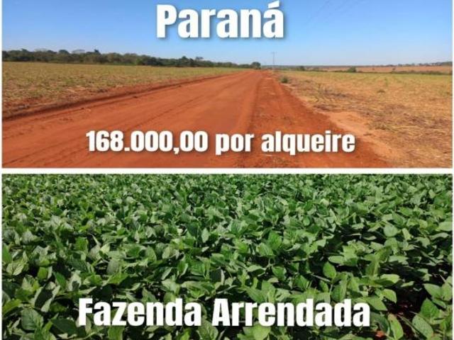 RURAL PARANÁ 137 ALQUEIRES