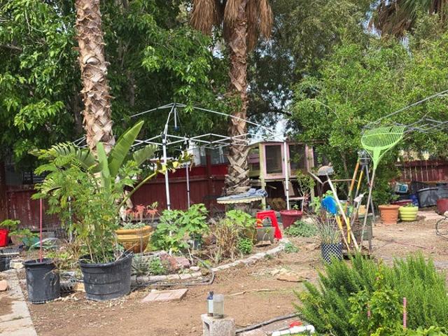 RuralGardenNew