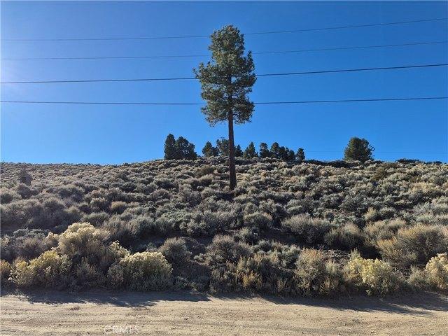 Rustic Cyn, Big Bear City, CA 92314