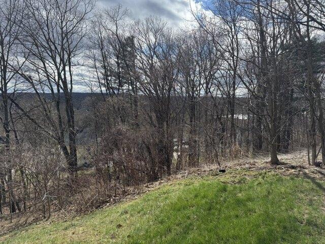 Rustic Dr, Worcester, Plot For Sale