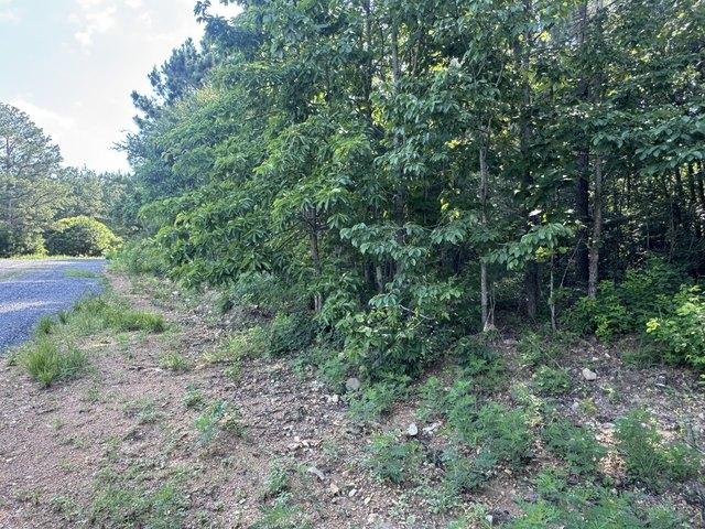 Rustic Pines Rd, Dover, TN 37058