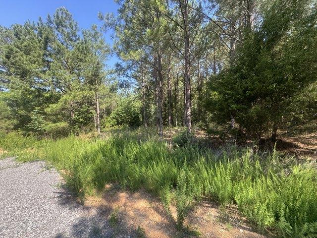 Rustic Pines Rd, Dover, TN 37058