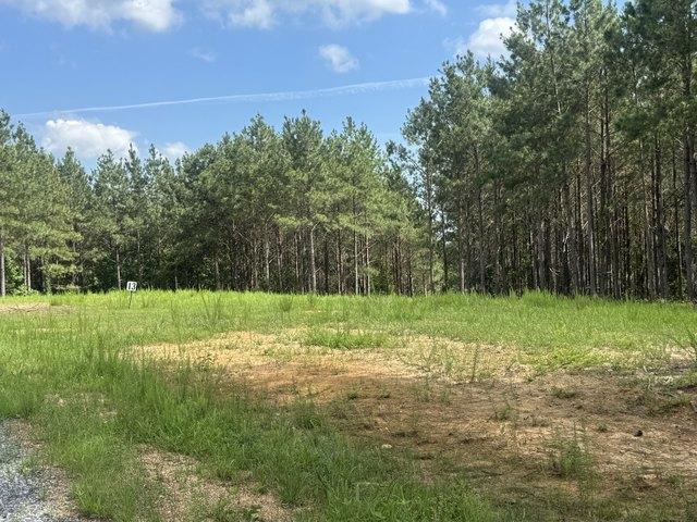 Rustic Pines Rd, Dover, TN 37058