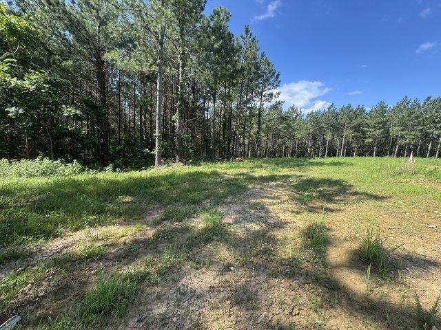 Rustic Pines Rd, Dover, TN 37058
