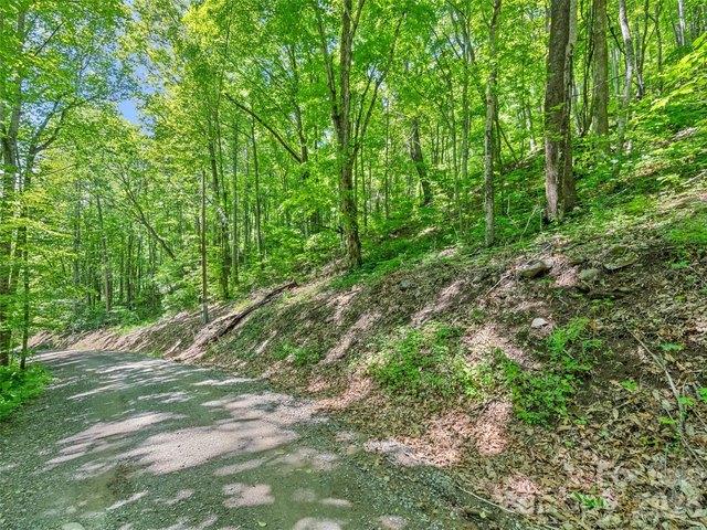 Rustic Rd, Waynesville, NC 28786