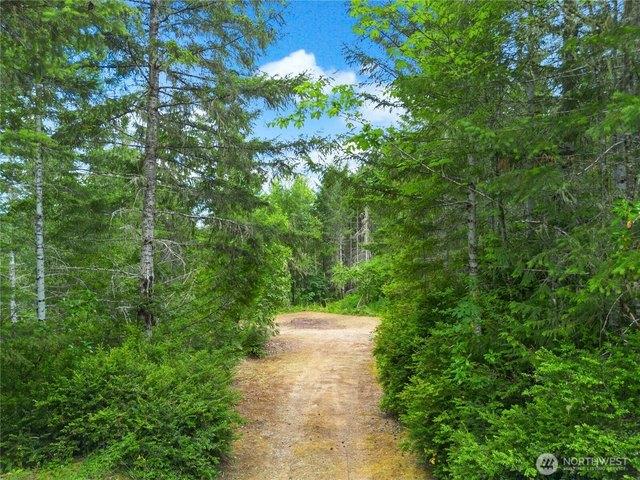 Rustic Ridge Dr Lot 4, Lilliwaup, WA 98555