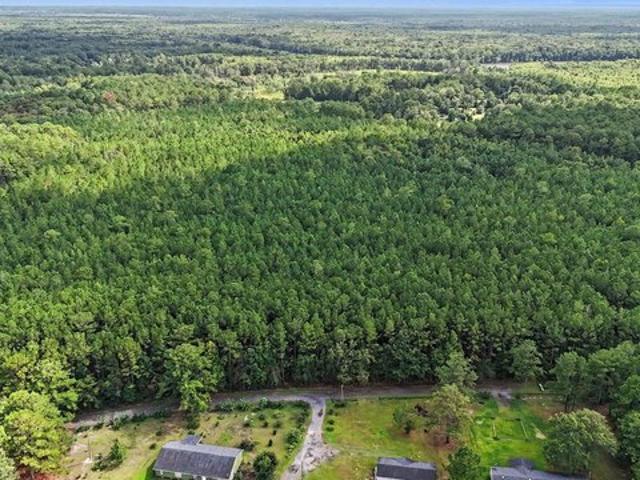Rustwood Dr, Georgetown, SC 29440
