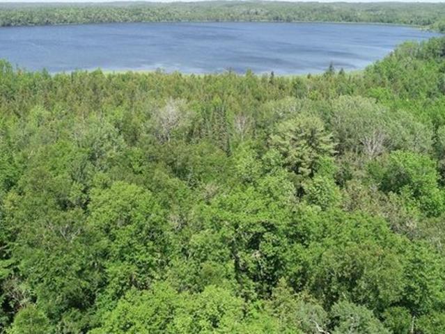 Rush Island Lake Rd, Deer River, MN 56636