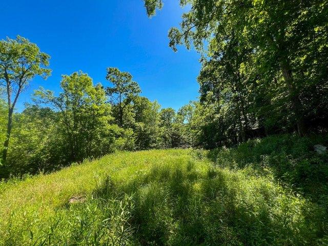 Rush Run Rd, Rayland, OH 43943