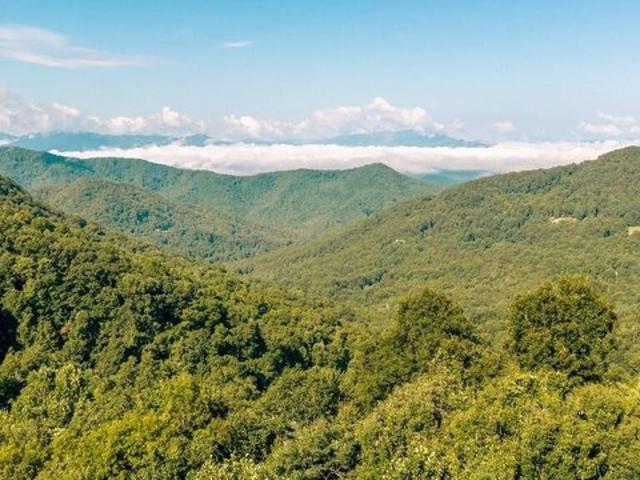 Rushing Falls Way Lot 28, Bryson City, NC 28713