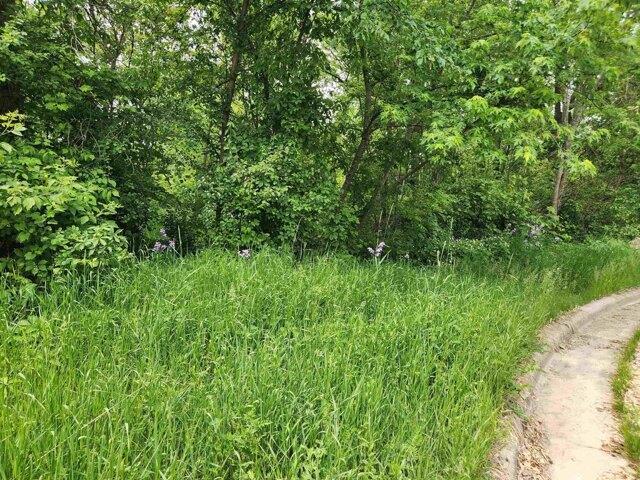 Russell Ct Lots And,jefferson, Plot For Sale