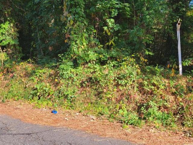 Russell Dr Lots 8 & 9, Cobb Island, MD 20625