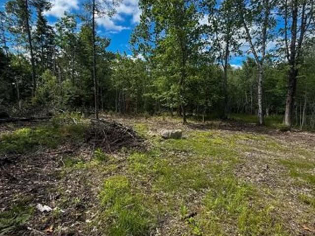 Russell Hill Rd Lot,bucksport, Plot For Sale