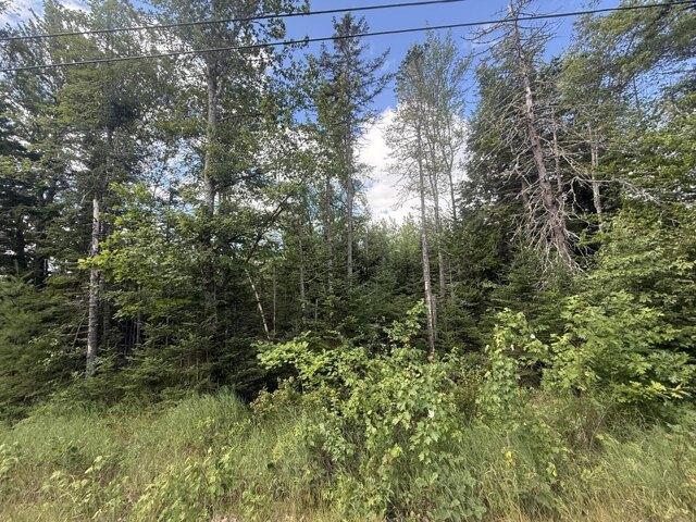 Russell Hill Rd Lot,bucksport, Plot For Sale