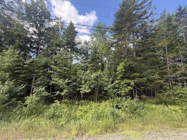 Russell Hill Rd Lot 6, Bucksport, ME 04416