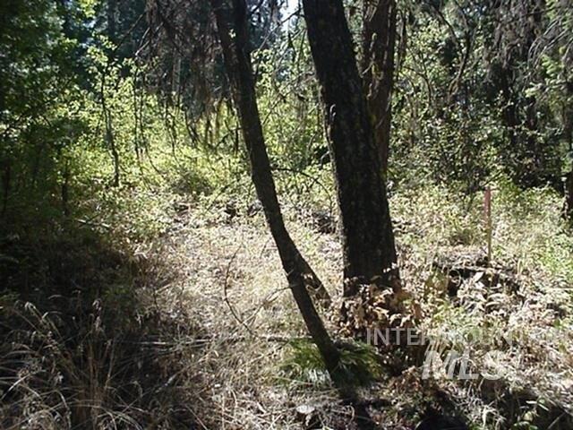 Ruth St, Cascade, ID 83611