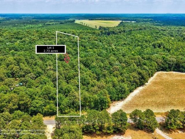 Ruth Vinson Rd Lot 1, Autryville, NC 28318