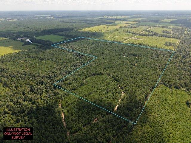 Rutherford Rd Lot 1661, Deridder, LA 70634