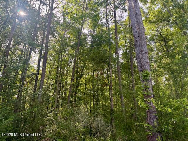 Rutland Road, Jayess, MS 39641