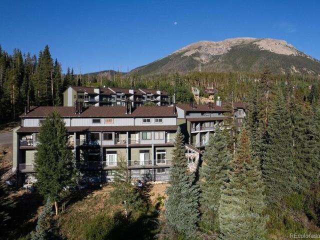 Ryan Gulch Rd Unit,silverthorne, Condo For Sale