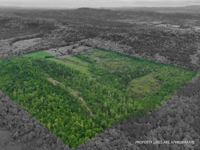 Ryan Rd, Oden, AR 71961