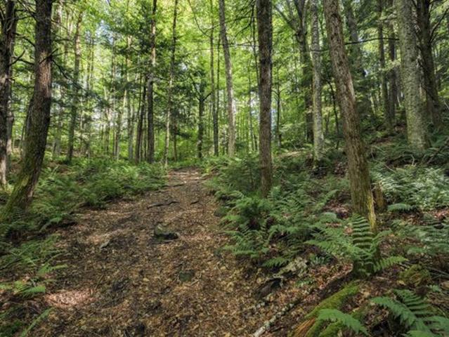 Ryder Pond Rd, Whitingham, VT 05361