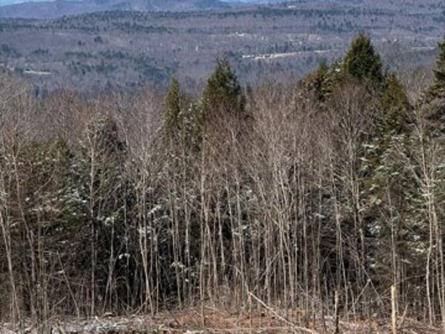 Ryerson Hill Rd, Paris, Plot For Sale