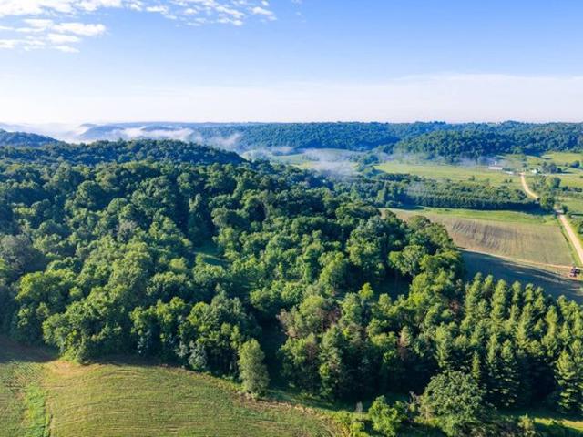 S4708 Muncie Rd, Hillsboro, WI 54634