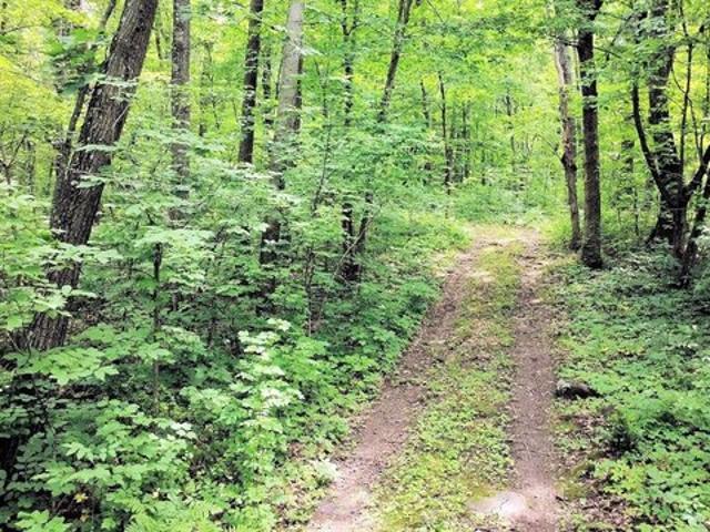 S5784 County Road D, Rock Springs, WI 53961