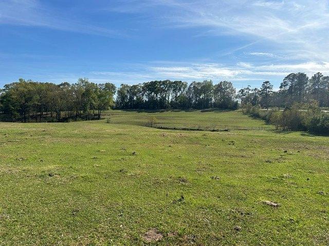 S Main St, Brundidge, AL 36010