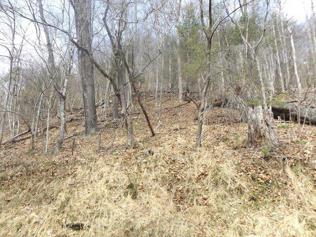 S Main St Lot 1, Galax, VA 24333