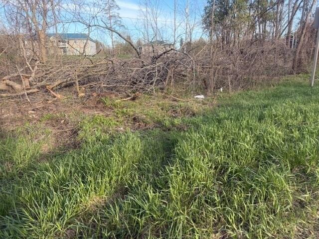 S Mason Dr, Grant, MI 49327
