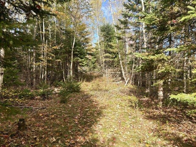 S Mdw Lot And Roys Way Rd, Perry, Plot For Sale