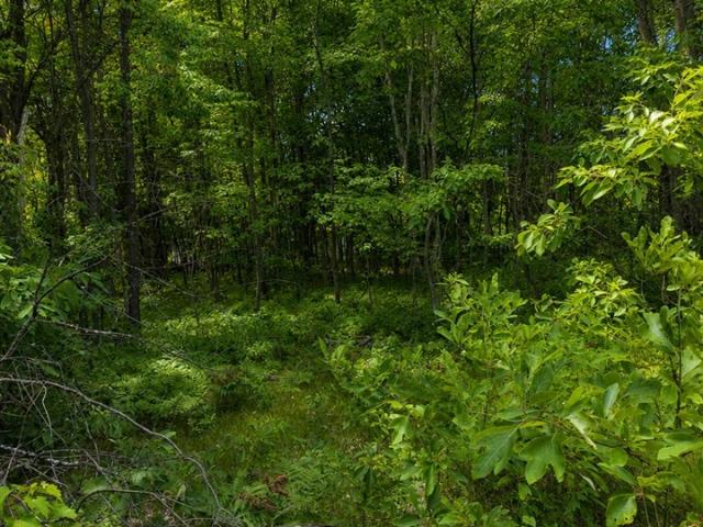S Mill Iron Road