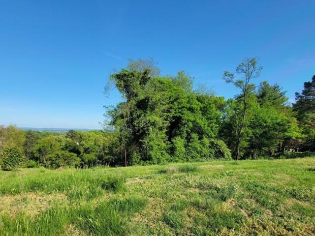 S Mission Ridge Dr, Rossville, Plot For Sale