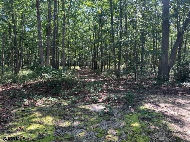 S New York Rd, Galloway Township, Plot For Sale