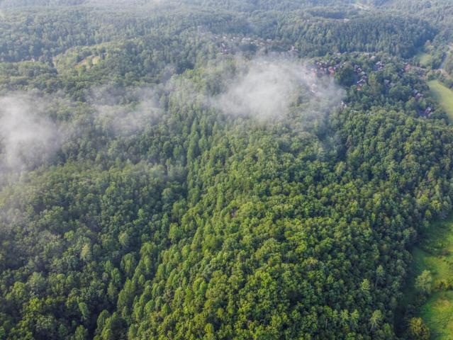 S New Era Rd, Sevierville, TN 37868