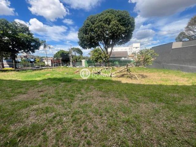 São Luíz Lote / Terreno à venda na Anuar Donato